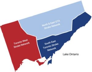 Toronto Stroke Networks
